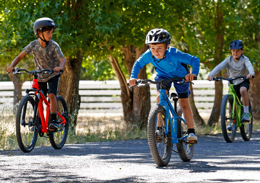 16" Kids Bikes 5-7 (Approx) Years – ringofgullioncycles